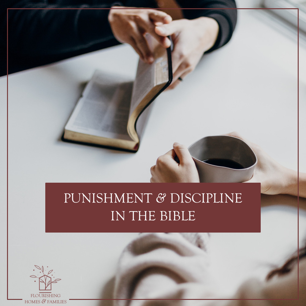 Discipline and Punishment in the BIble